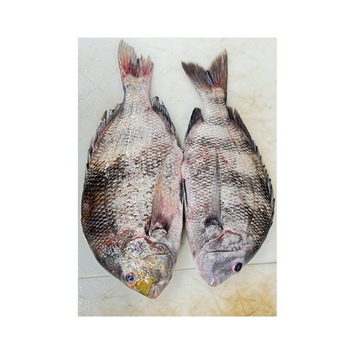 Indian Grocery Store in Brampton | Supermarket Brampton | Srilankan ...